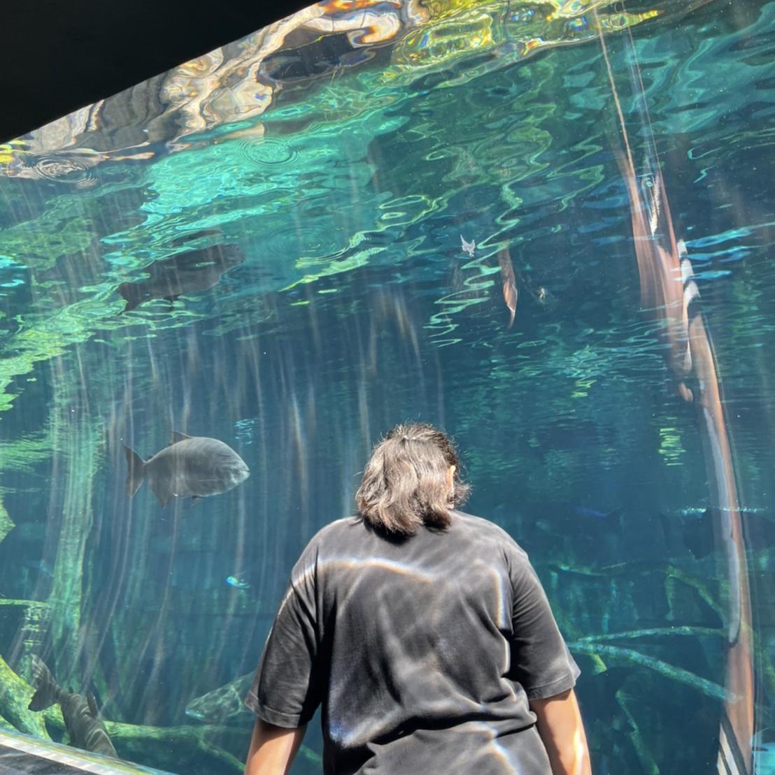 โพสต์ ของ Papper|Lemon8