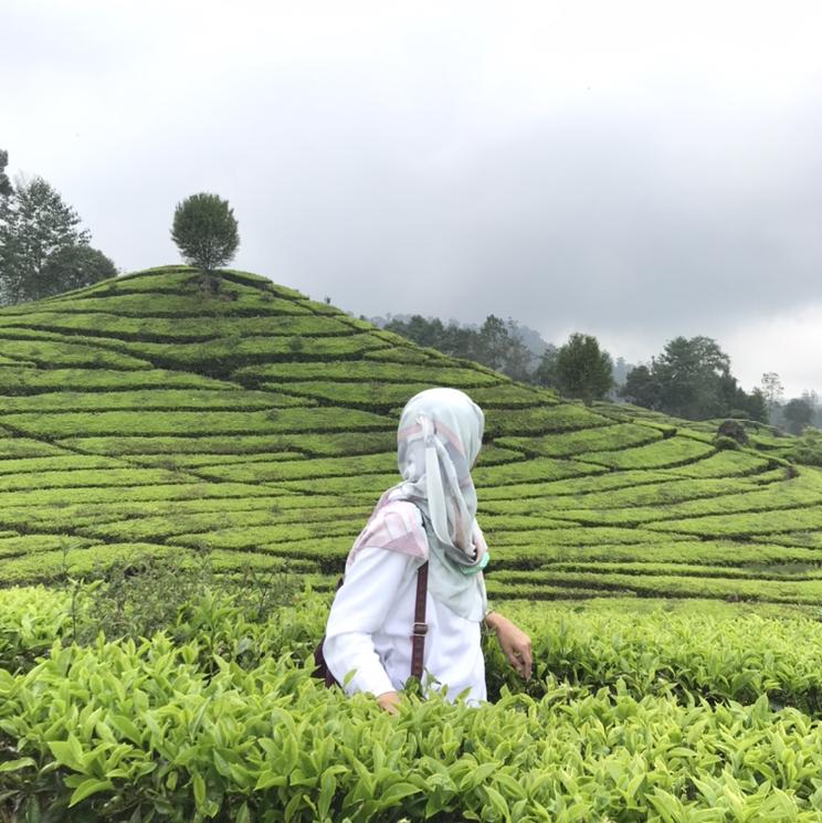 Posting Akemi Egami|Lemon8