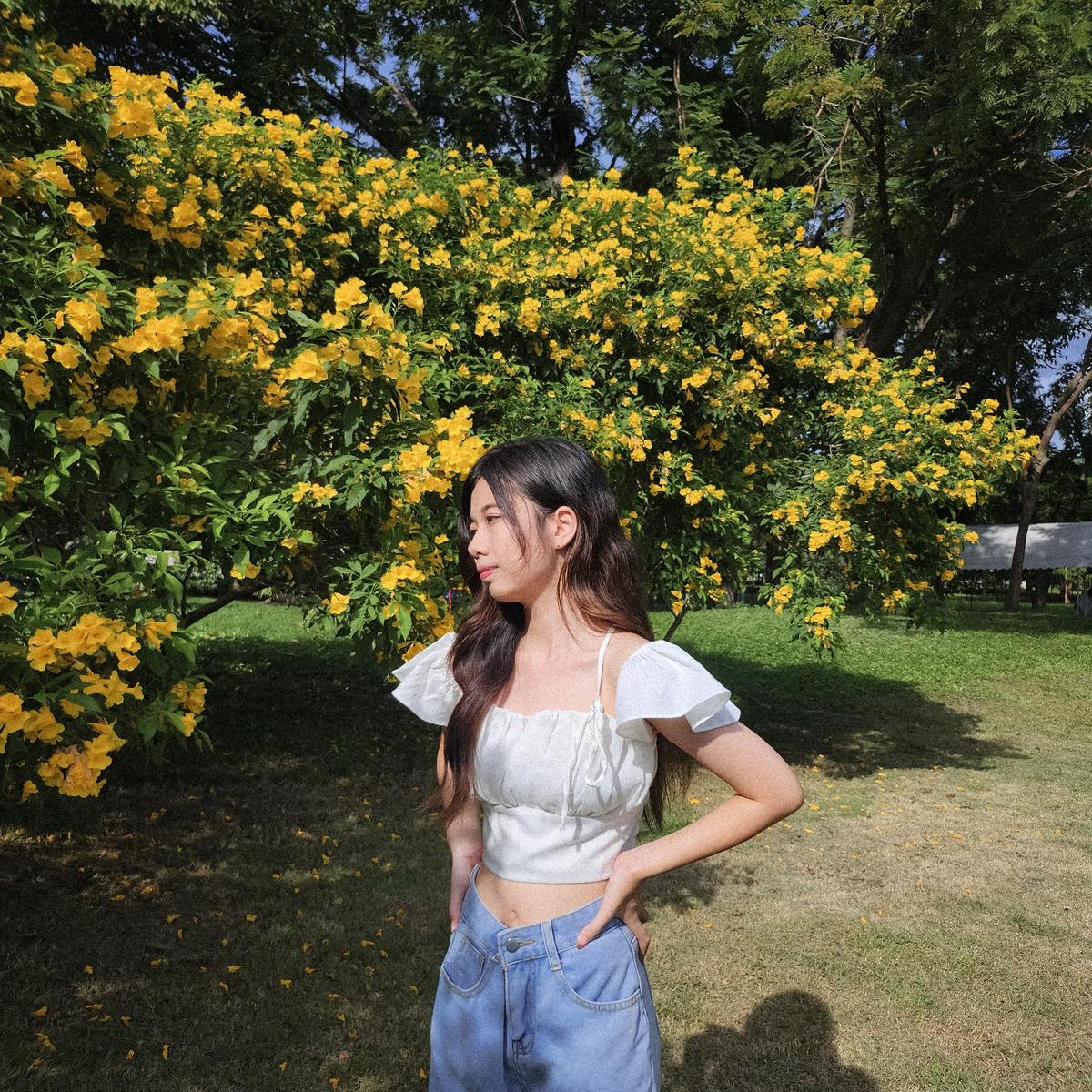 โพสต์ ของ Carotene.chi|Lemon8