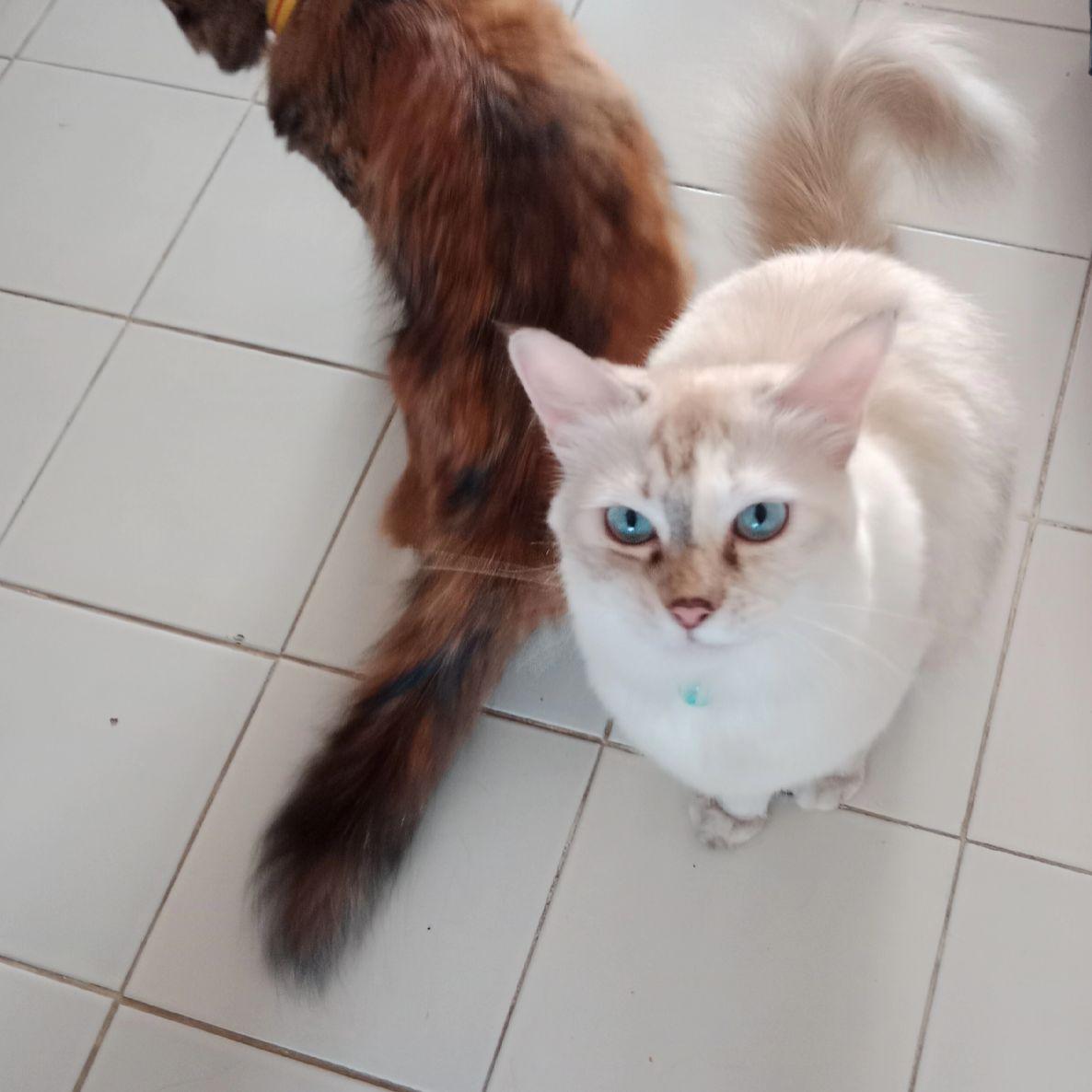 โพสต์ ของ freedom|Lemon8