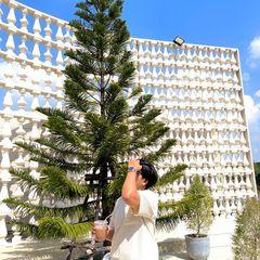 โพสต์ ของ Nam Pu|Lemon8