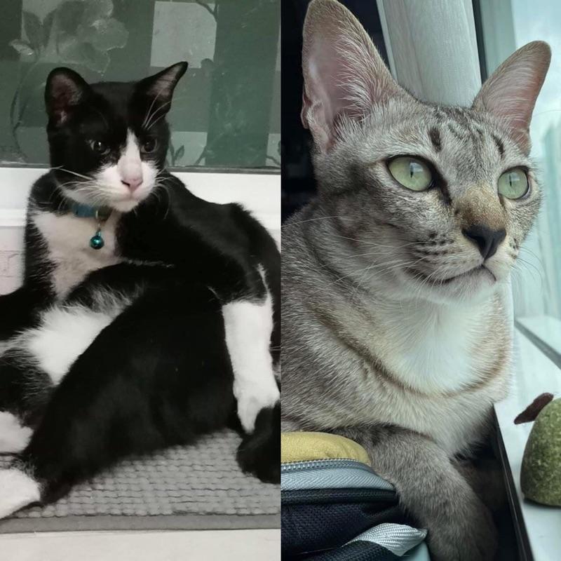 โพสต์ ของ สุพัฒชนันท์168|Lemon8