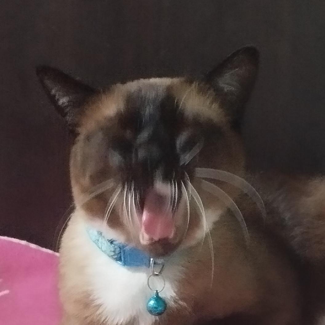 โพสต์ ของ Miiii|Lemon8