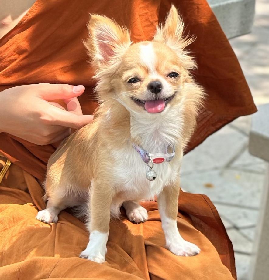 โพสต์ ของ Thanida Poohny|Lemon8