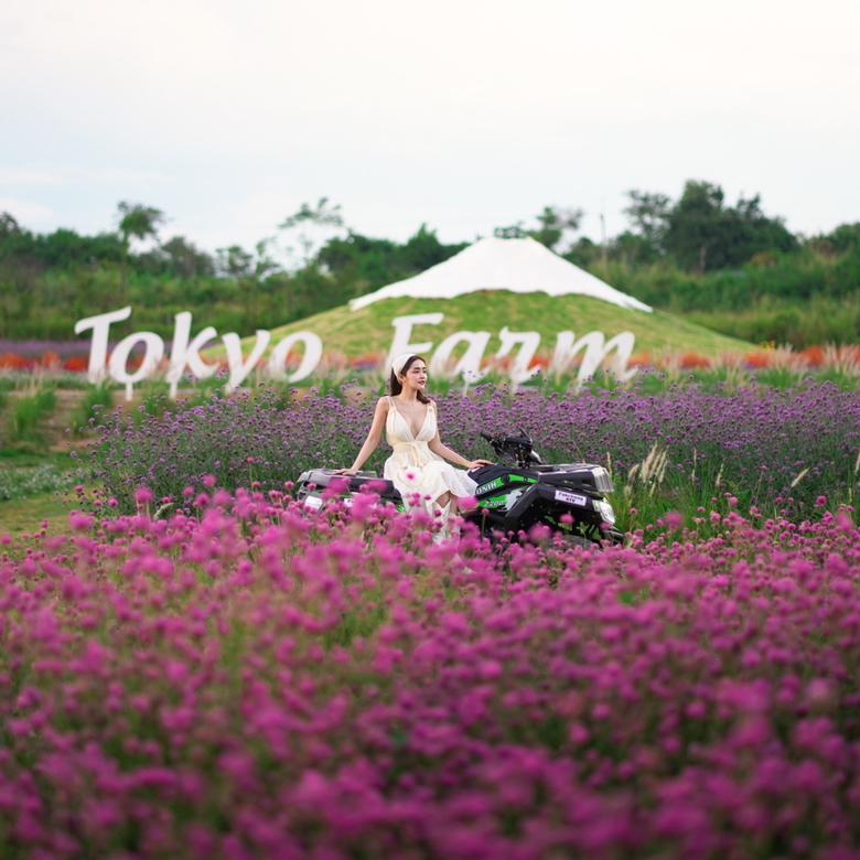 โพสต์ ของ TokyoFarm |Lemon8