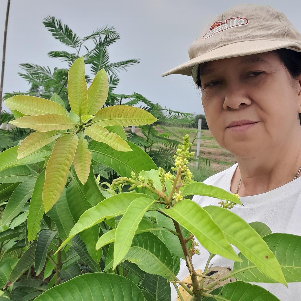 โพสต์ ของ NITA|Lemon8