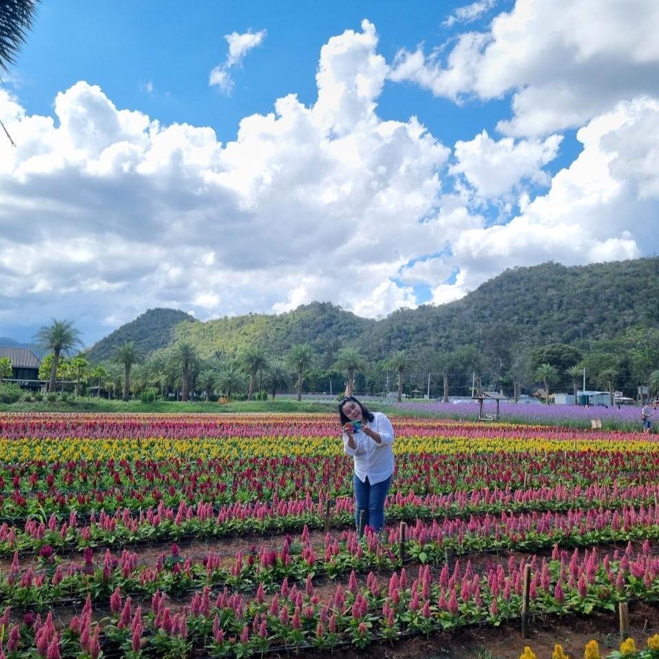 โพสต์ ของ Nipada Nick|Lemon8