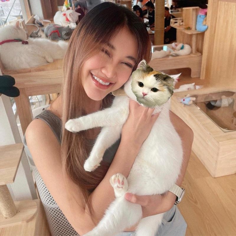 โพสต์ ของ yelly|Lemon8