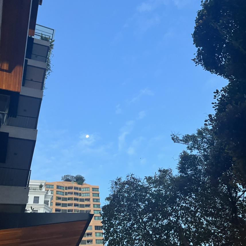 โพสต์ ของ Lllllllll|Lemon8