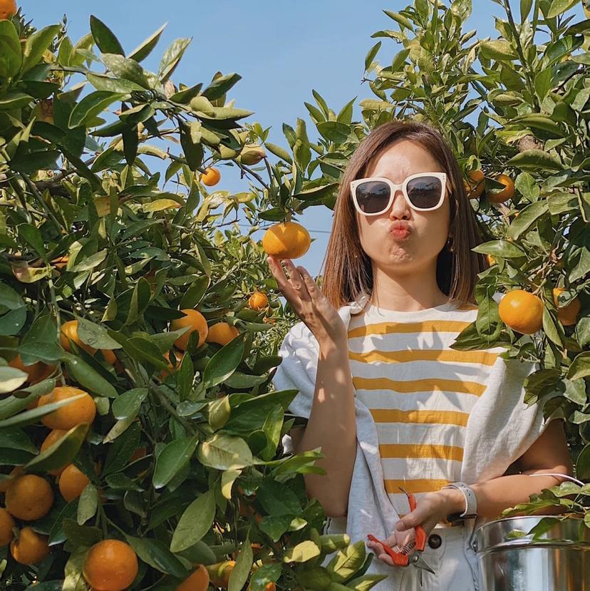 โพสต์ ของ Mai Hà|Lemon8