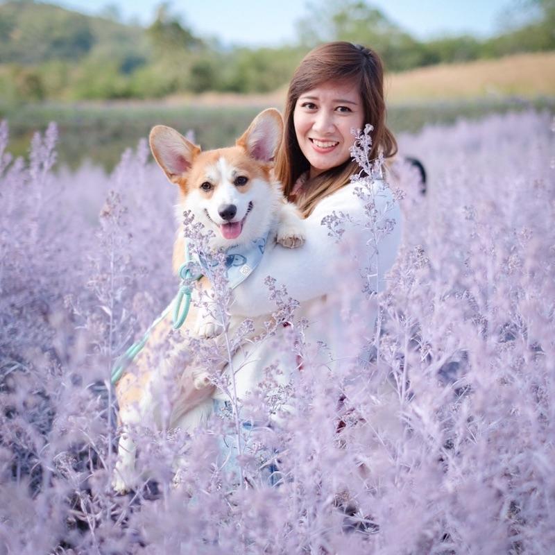 โพสต์ ของ Noon Sarunya|Lemon8