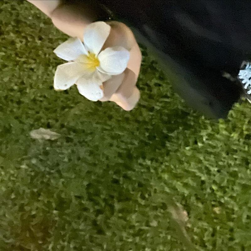 โพสต์ ของ 𝑀𝑖𝑒|Lemon8