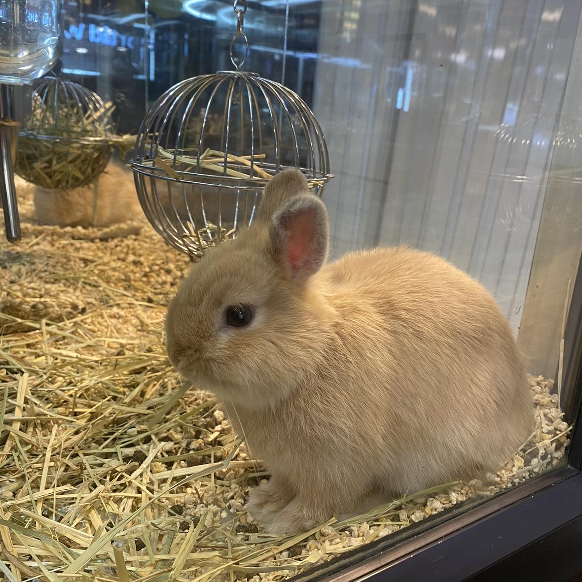 โพสต์ ของ nonn|Lemon8