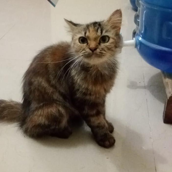 Posting umar thaza|Lemon8