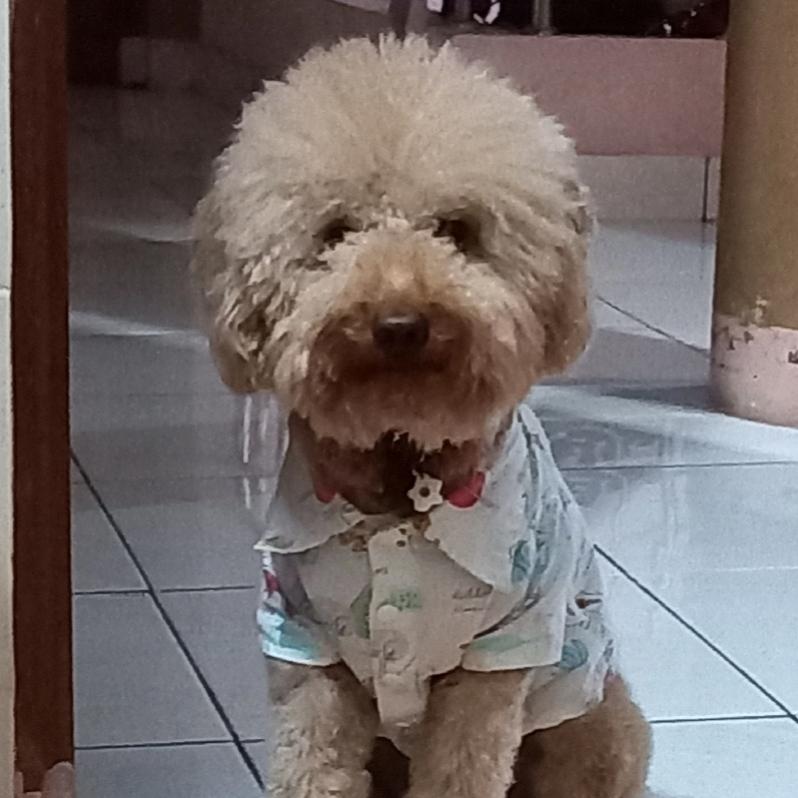 Posting Ellen⋆·˚ ༘ *🦢|Lemon8