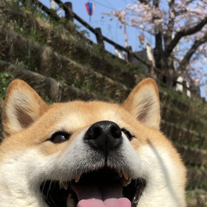 โพสต์ ของ chompunuch|Lemon8