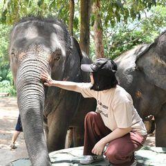 โพสต์ ของ Ming Chairat|Lemon8