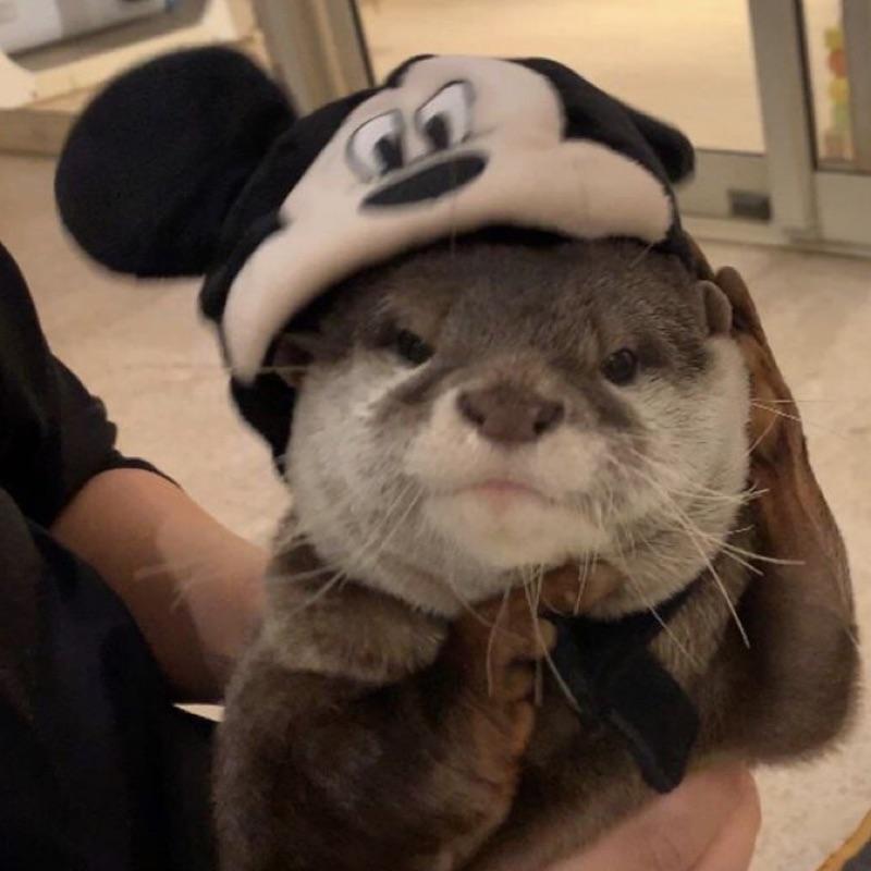 โพสต์ ของ the_sun|Lemon8