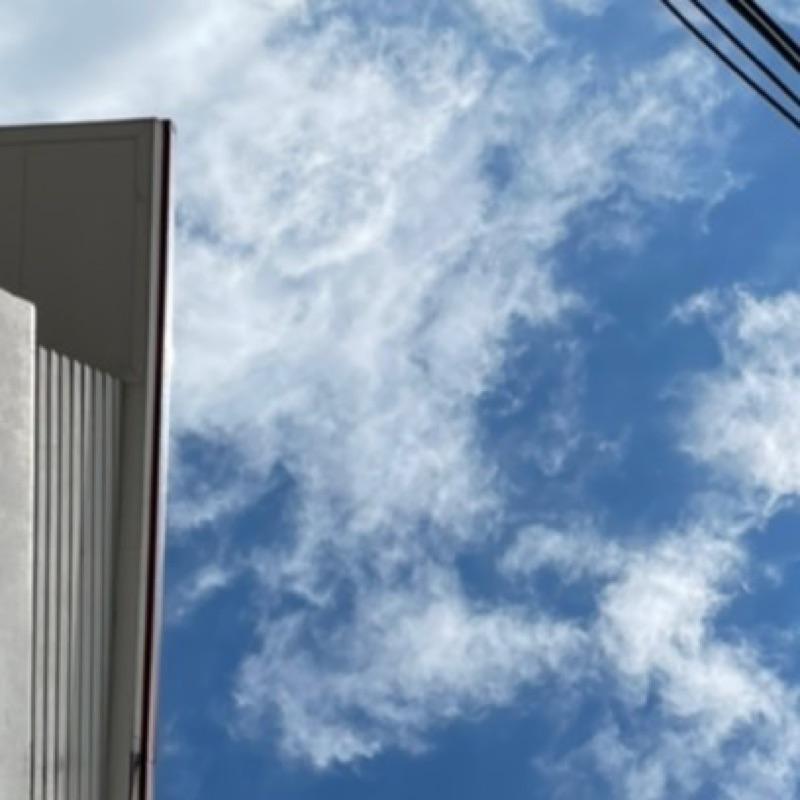 โพสต์ ของ Cha|Lemon8