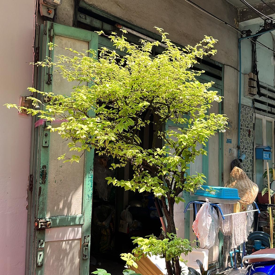 โพสต์ ของ N|Lemon8