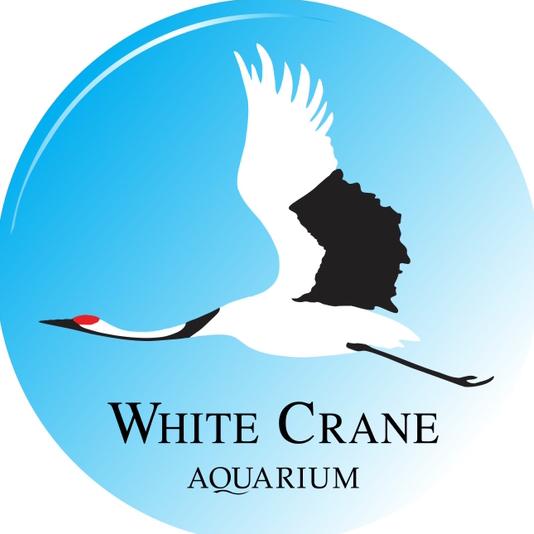 โพสต์ ของ White Crane |Lemon8