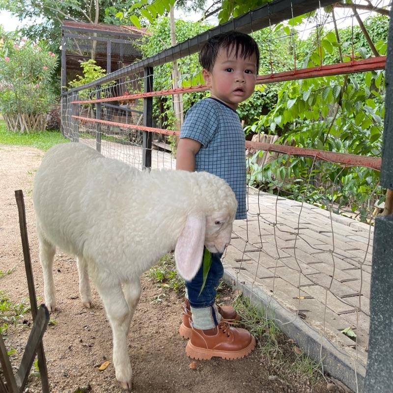 โพสต์ ของ Noonan|Lemon8