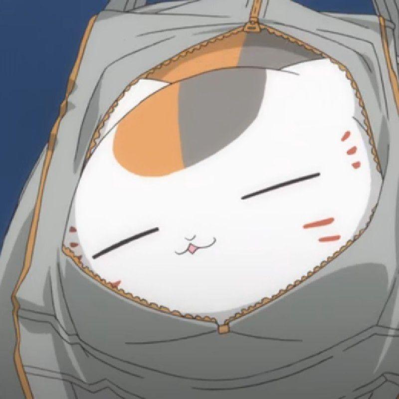 โพสต์ ของ zen|Lemon8