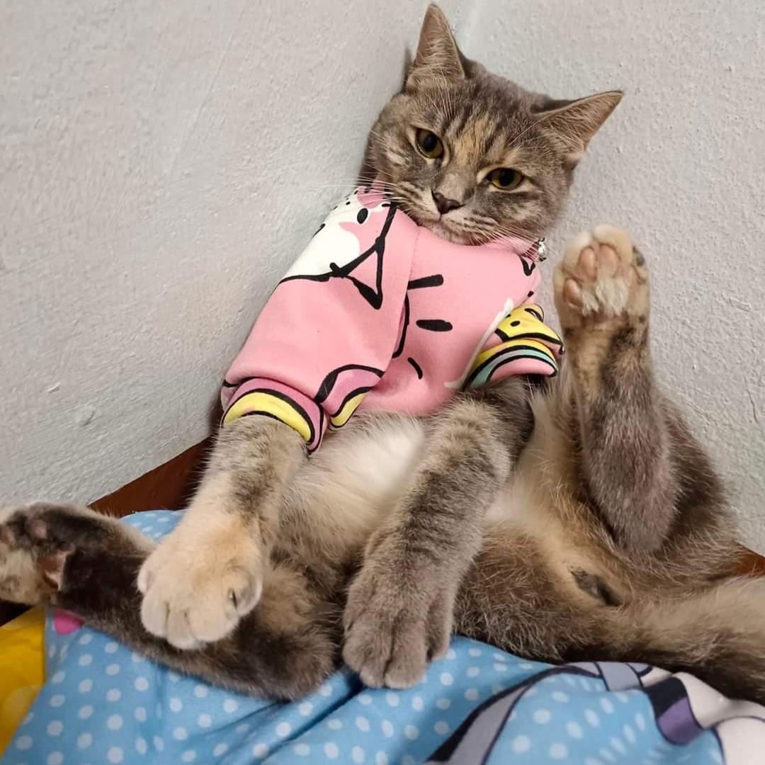 โพสต์ ของ Na'(Patikan)|Lemon8