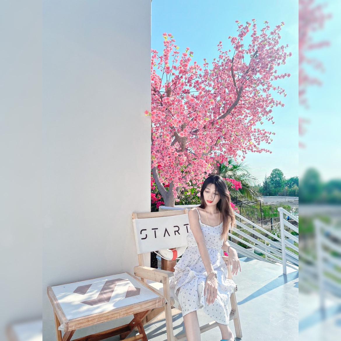 โพสต์ ของ Follow'mini Ann|Lemon8