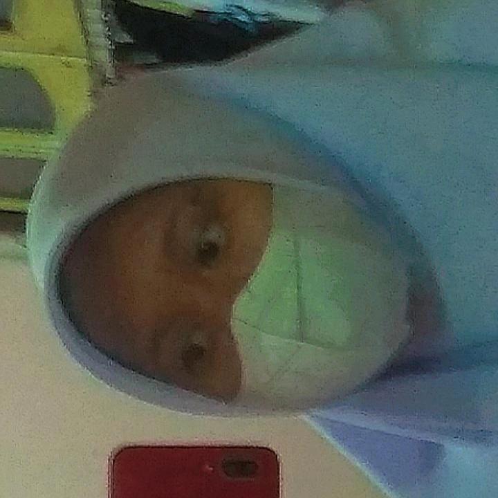 Siarkan Syazwanie20.11|Lemon8