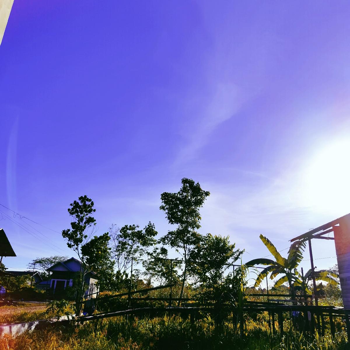 Posting Dita Ayutiar|Lemon8