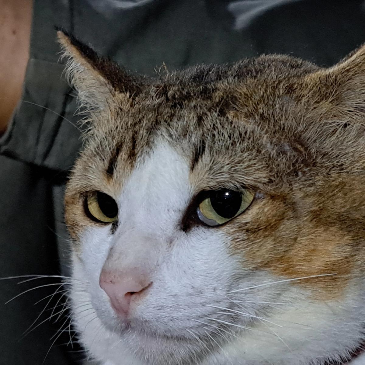 โพสต์ ของ NARAG|Lemon8