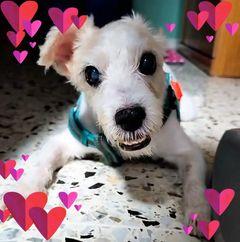 Silver Kunasela's Post|Lemon8