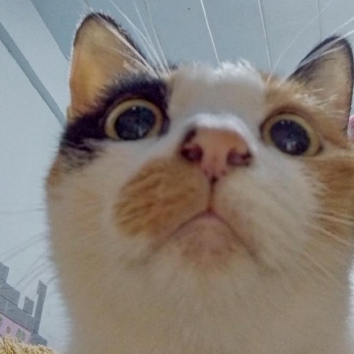 โพสต์ ของ aom*_*|Lemon8