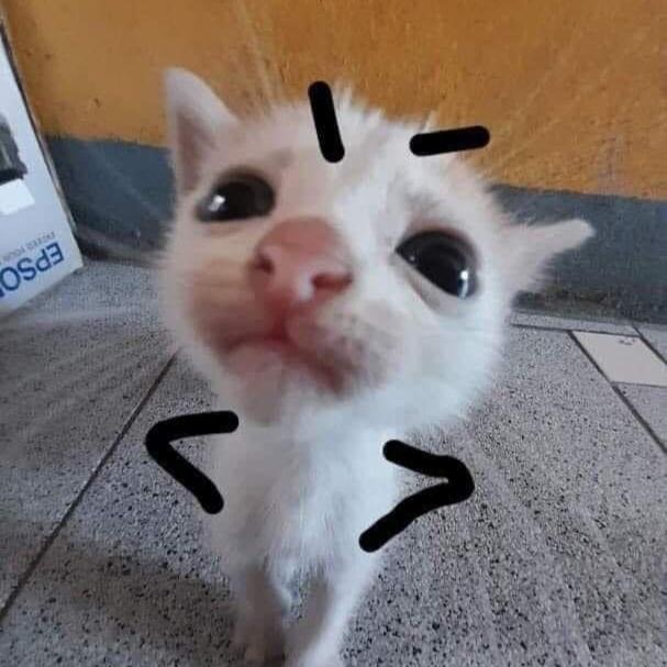 โพสต์ ของ paradise|Lemon8