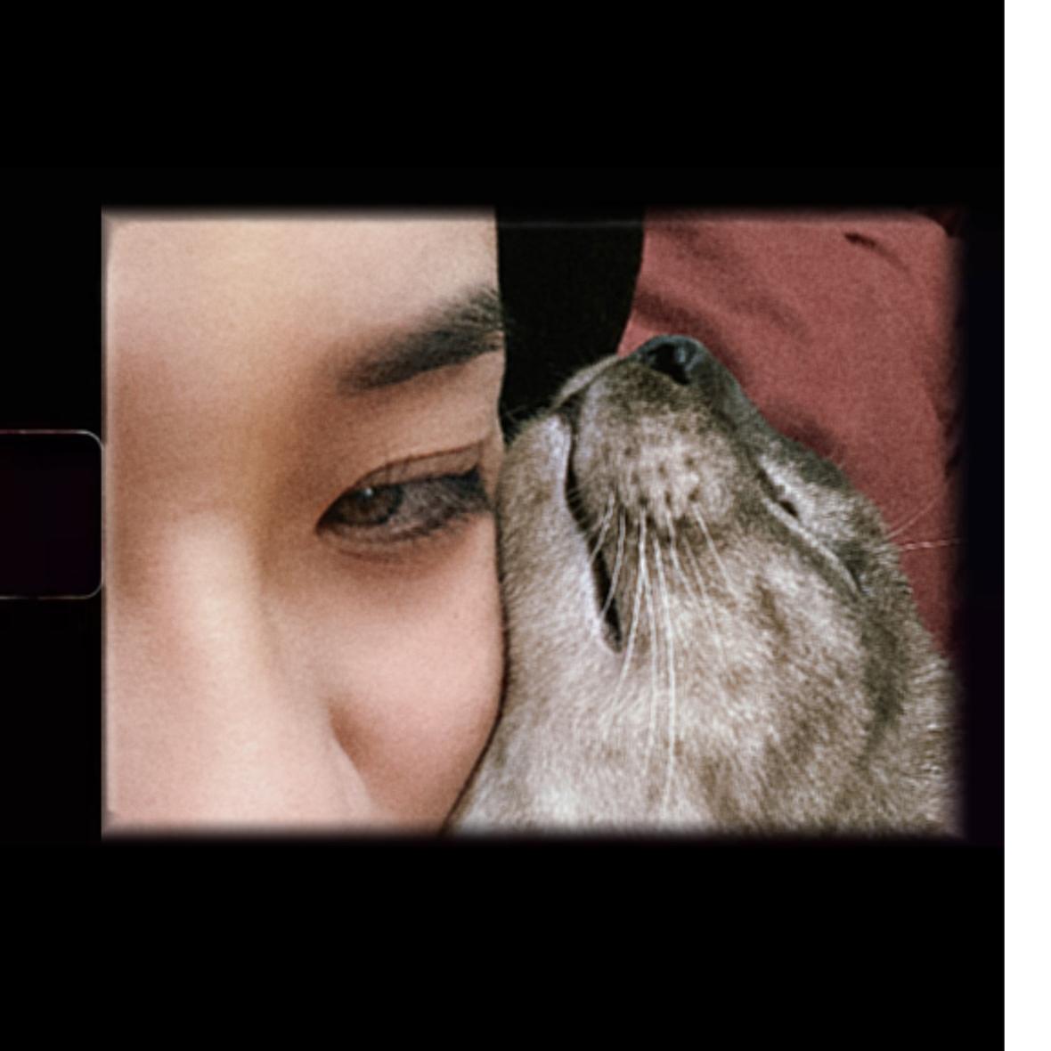 โพสต์ ของ 143 cm.|Lemon8