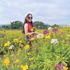 โพสต์ ของ Jubb Jibb|Lemon8