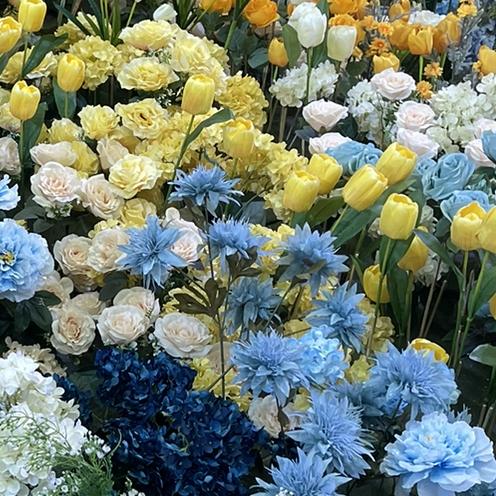 โพสต์ ของ Kong Bopha|Lemon8