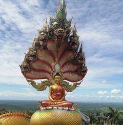 โพสต์ ของ Peeza Peeza|Lemon8