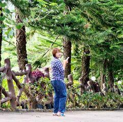 โพสต์ ของ Mayuree Klongth|Lemon8