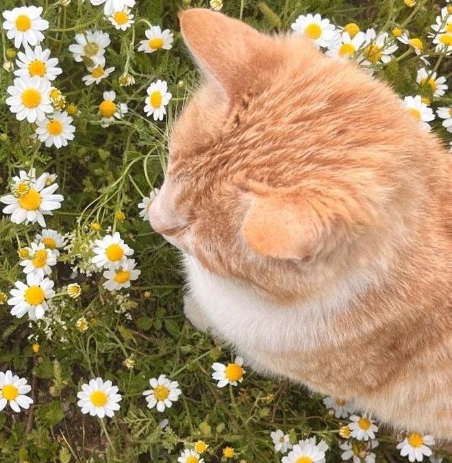 โพสต์ ของ Shigo_46|Lemon8