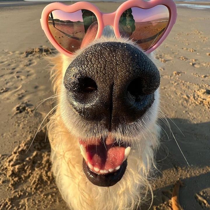 โพสต์ ของ KATI_kati🌴🕸|Lemon8