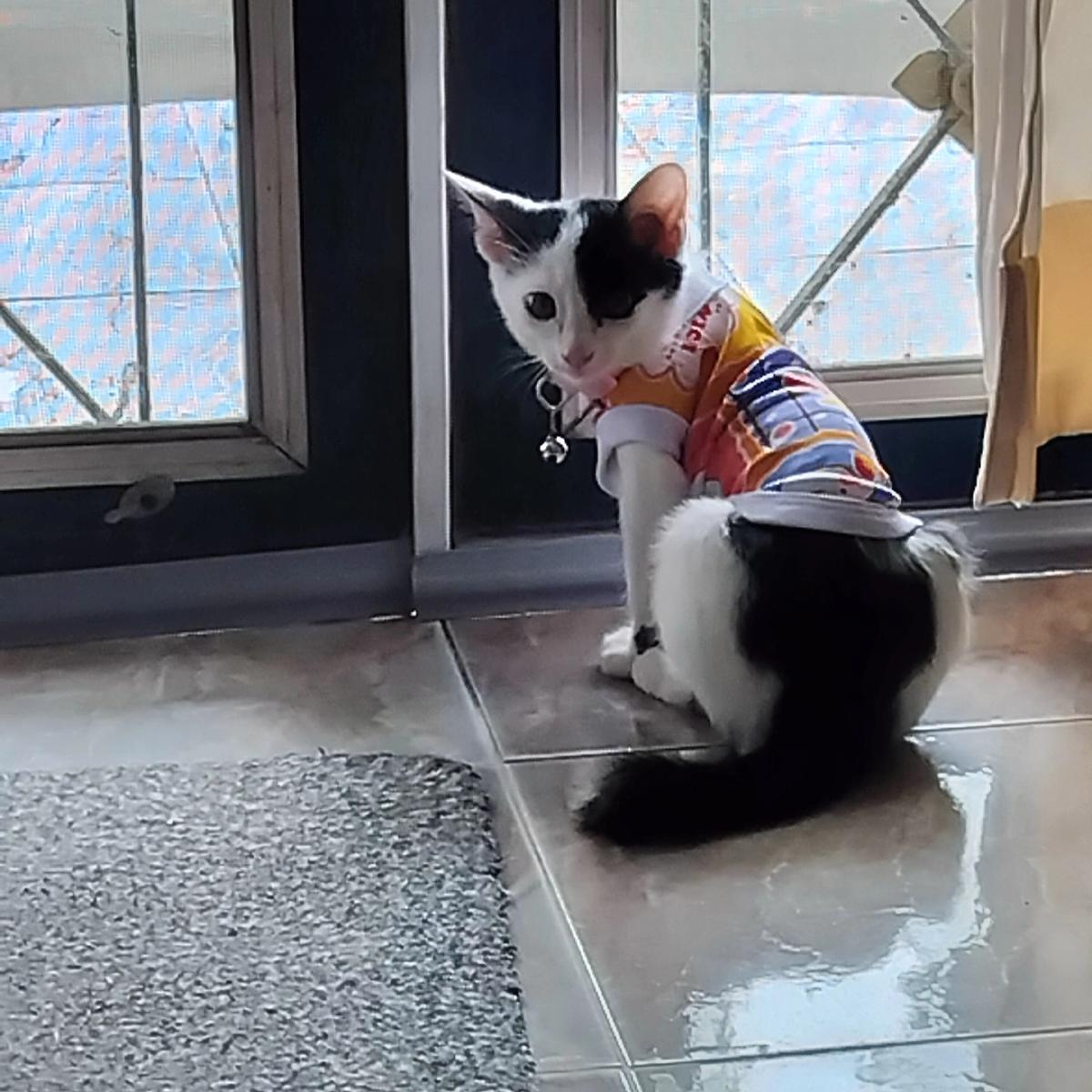 โพสต์ ของ MooMoo|Lemon8