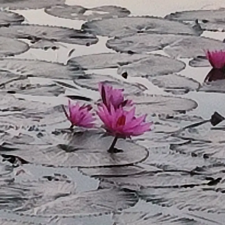 โพสต์ ของ jean|Lemon8