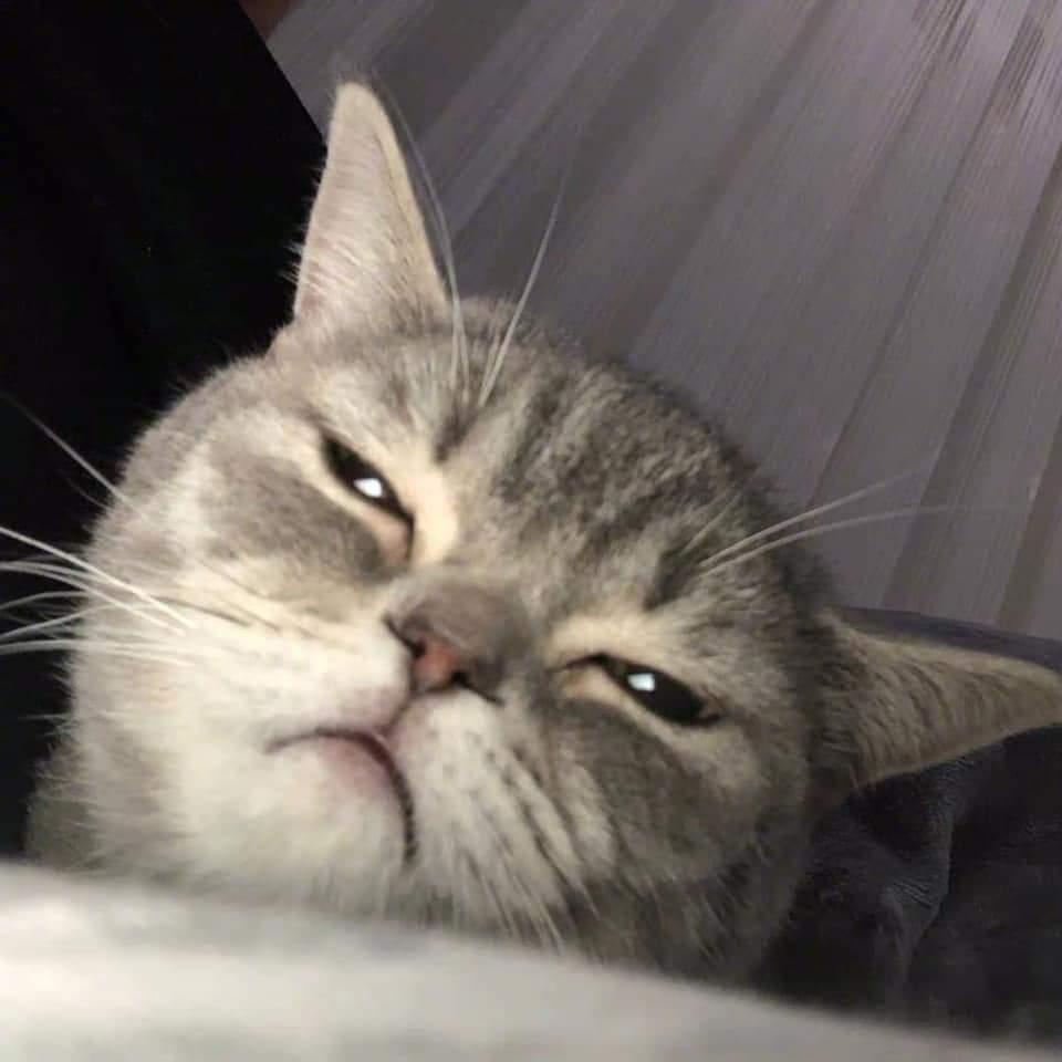 Yang Cantique's Post|Lemon8