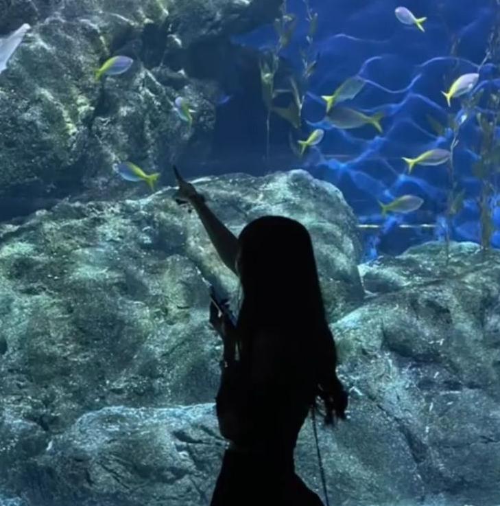 โพสต์ ของ waran|Lemon8