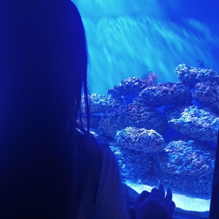 โพสต์ ของ jeena|Lemon8