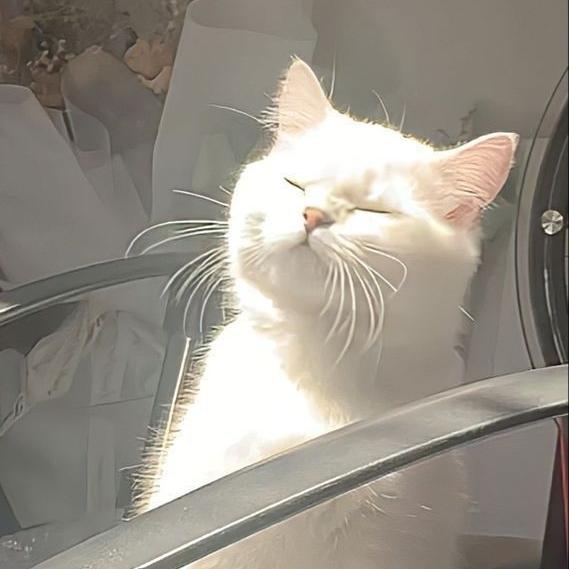 โพสต์ ของ Callmex Nami|Lemon8