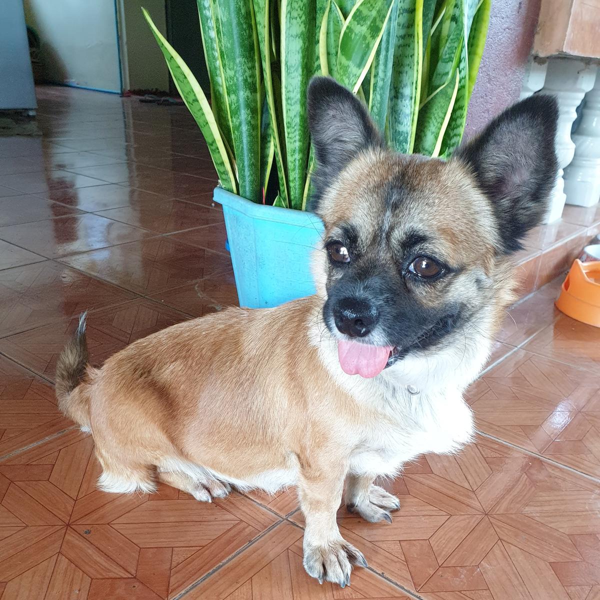 โพสต์ ของ M Mint|Lemon8