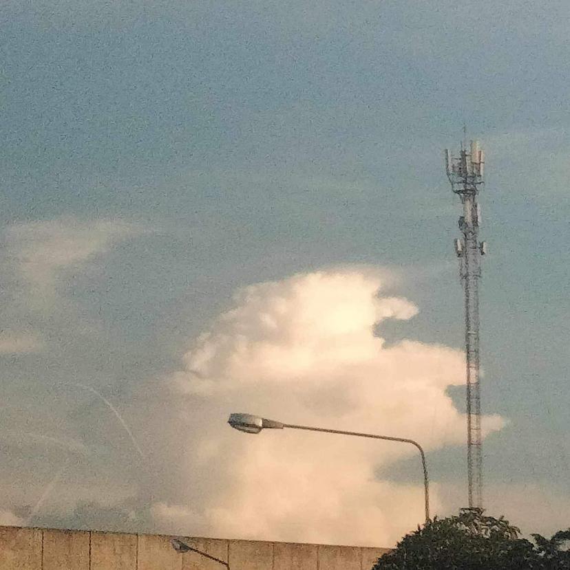 โพสต์ ของ Ss.maple|Lemon8